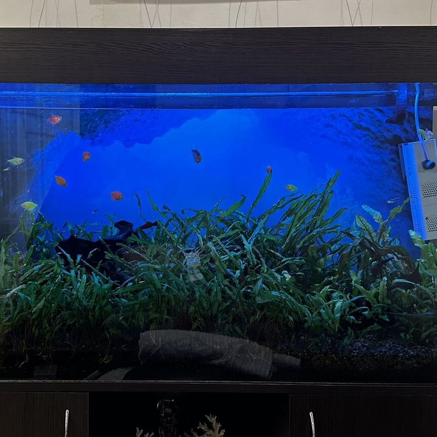 Аквариум 350 литров