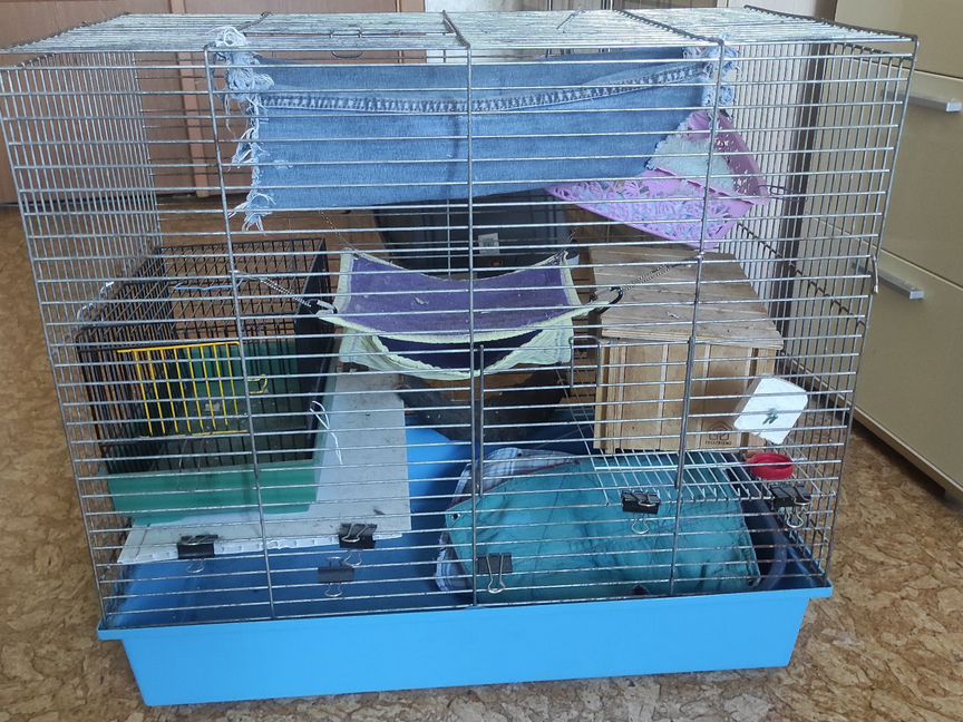 Клетка для крыс, хорька