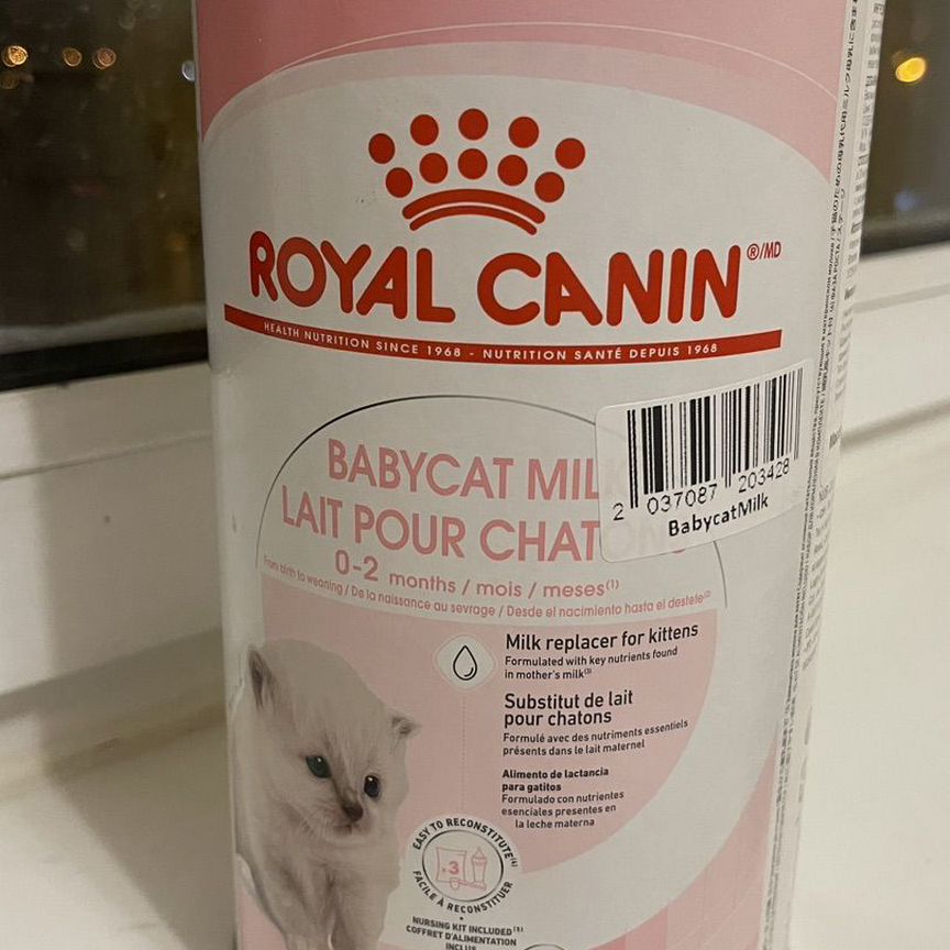 Сухое молоко для котят Royal Canin