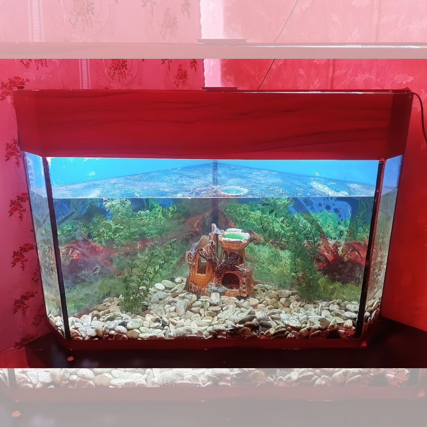 Аквариум на 70 литров