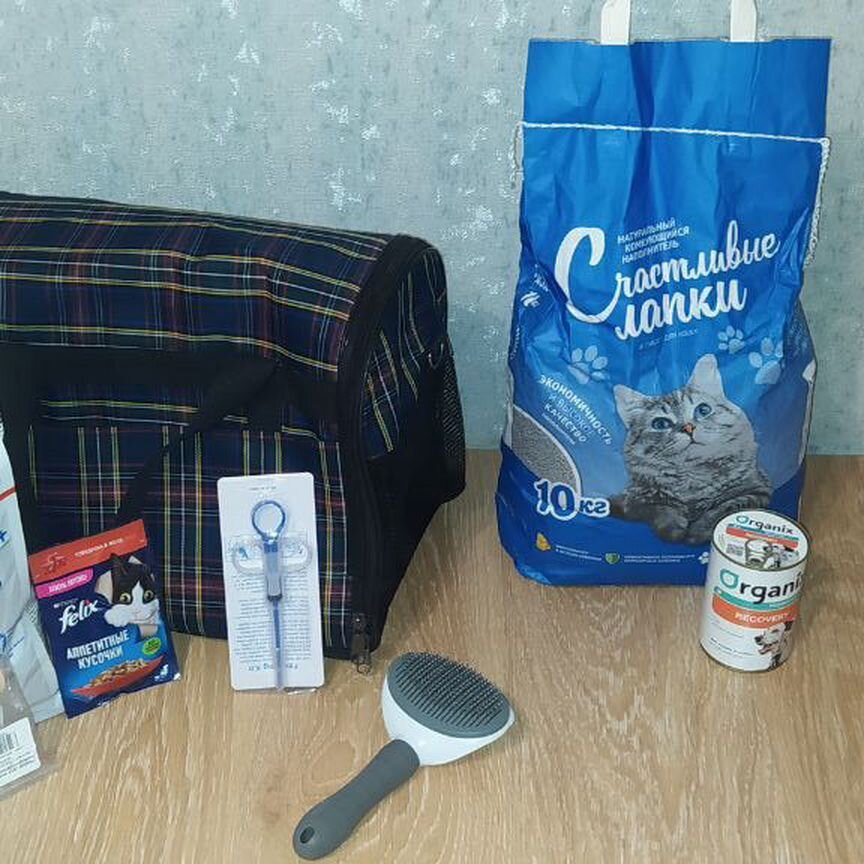 Корма, переноска, наполнитель