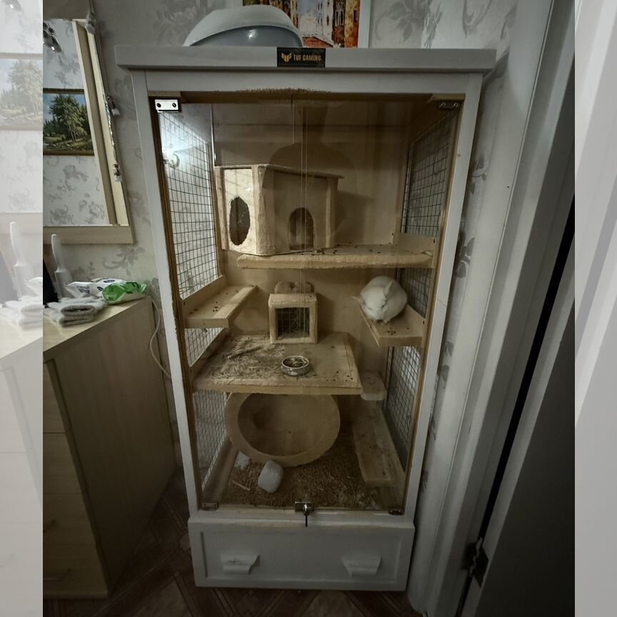 Витрина для шиншилл