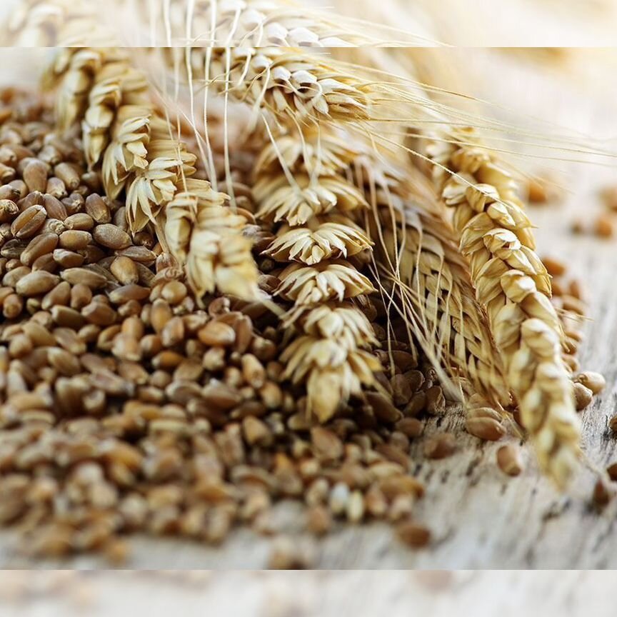 Земельный пай