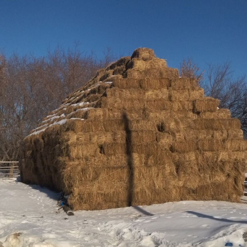 Сено в тюках с доставкой
