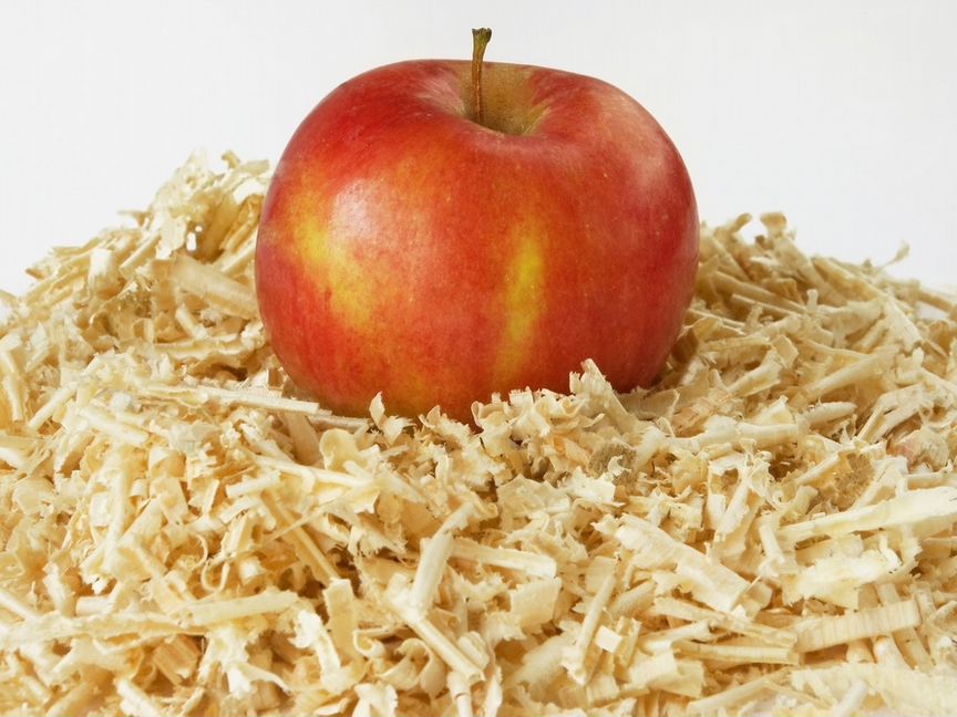 Стружка и опилки для животных