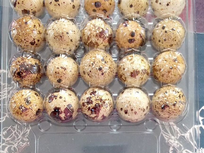 Яйца перепелиные инкубационное