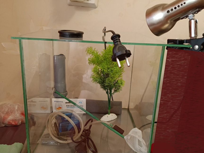 Аквариум в комплекте с оборудованием