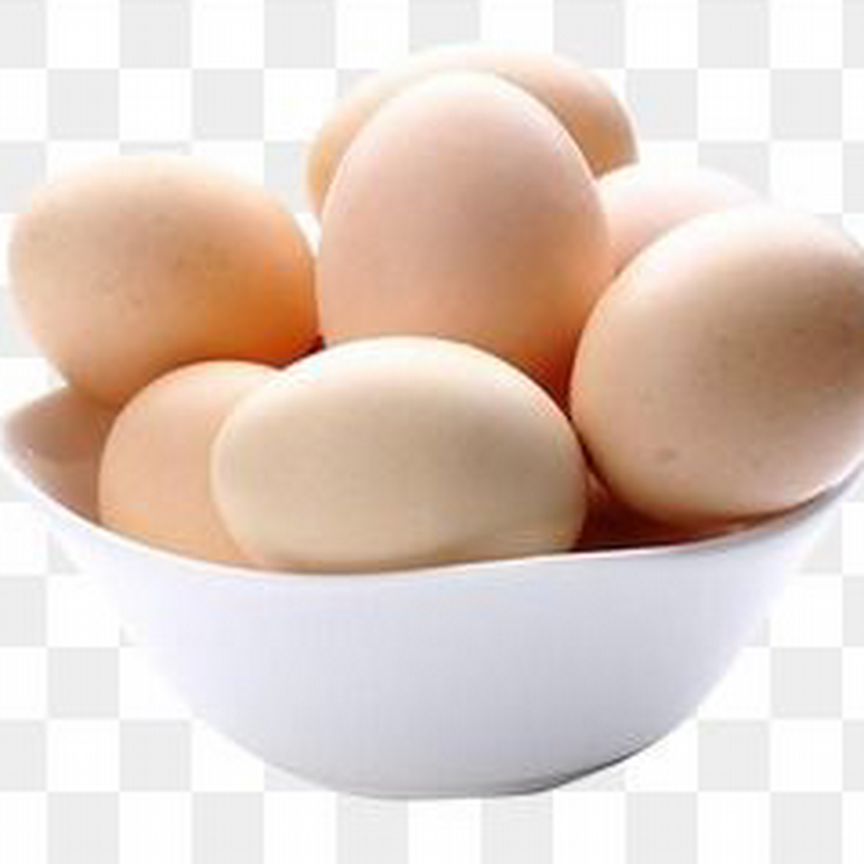 Яйцо инкубационное Австролорп чёрный