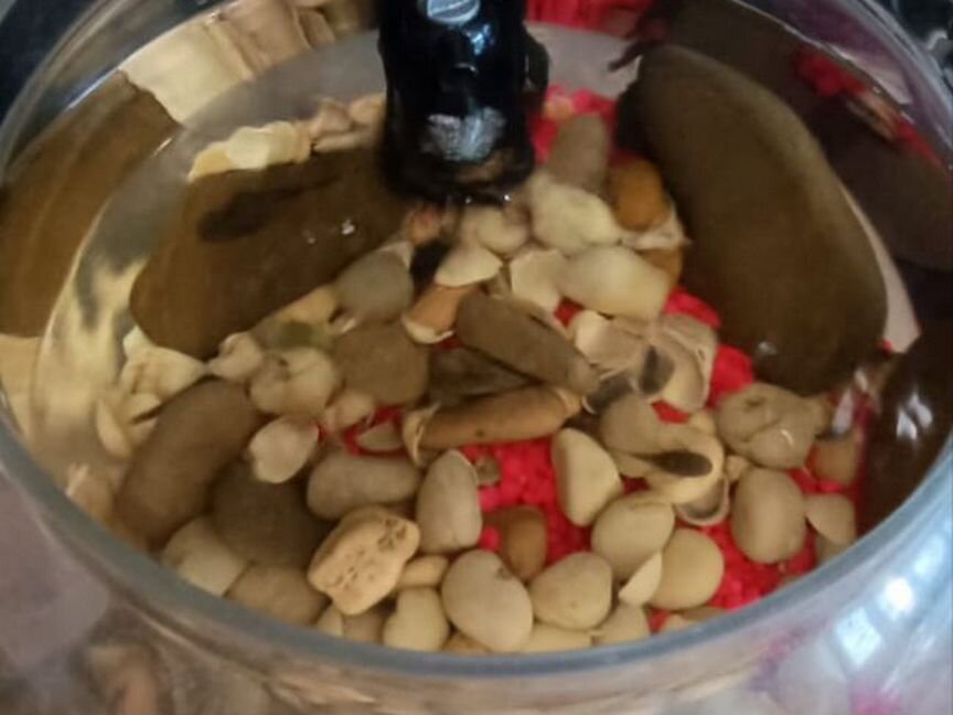Аквариум с рыбками