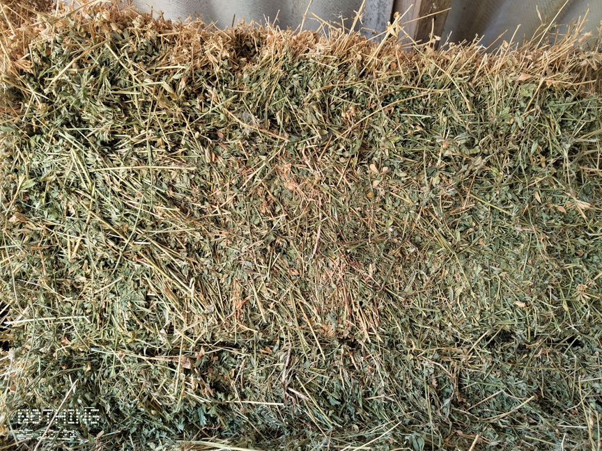 Сено в тюках