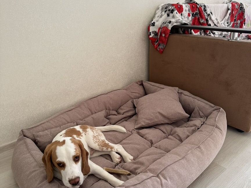 Лежанка для крупных собак