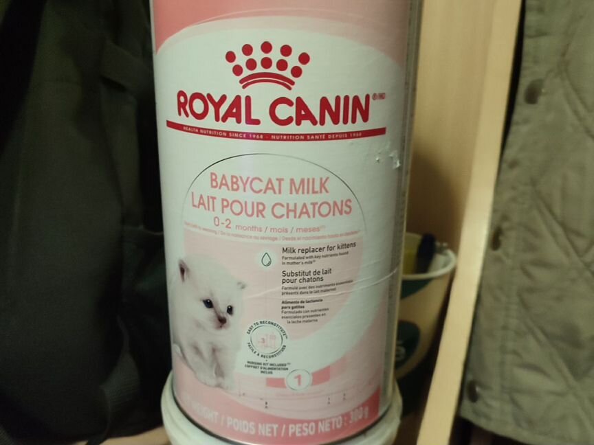 Роял Канин молочная смесь для котят