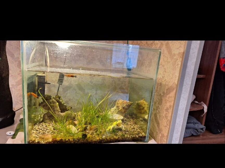 Аквариум с рыбками бу