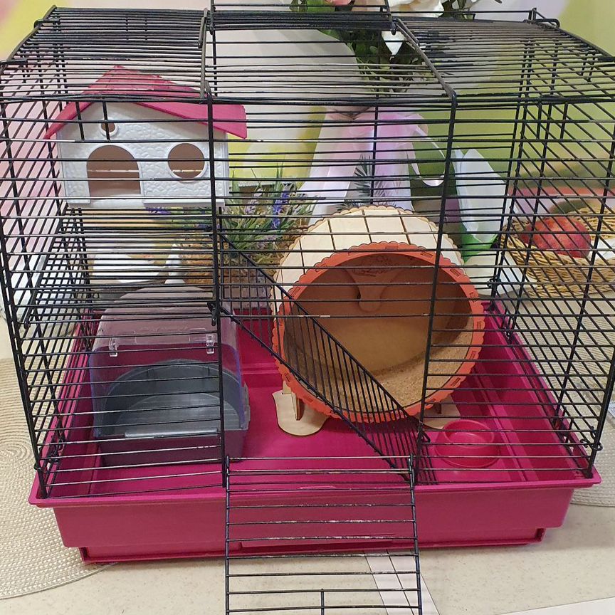 Клетка для грызунов