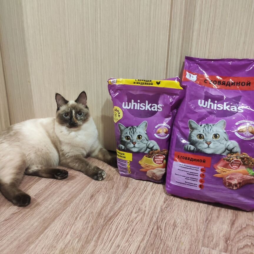 Сухой корм для кошек Whiskas