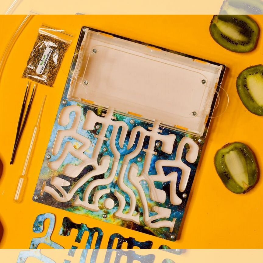 Формикарий/ Подарок для ребенка/ Муравьиная ферма