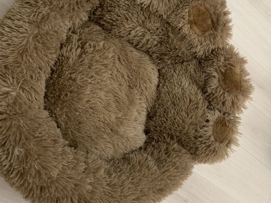 Собачья лежанка