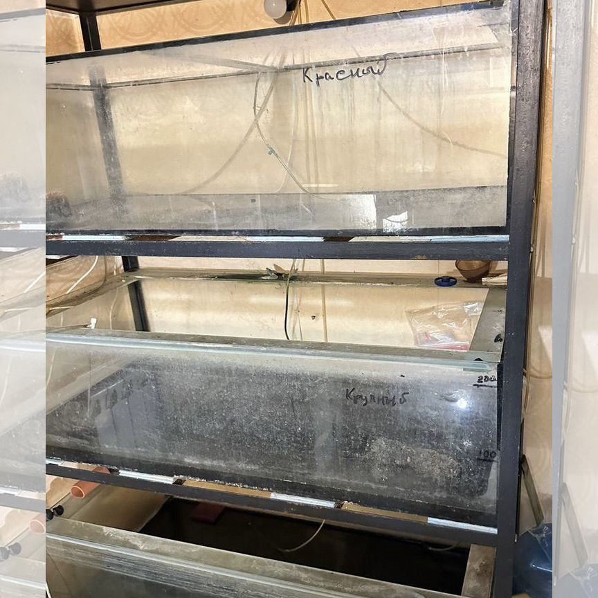 Аквариумы из стекла