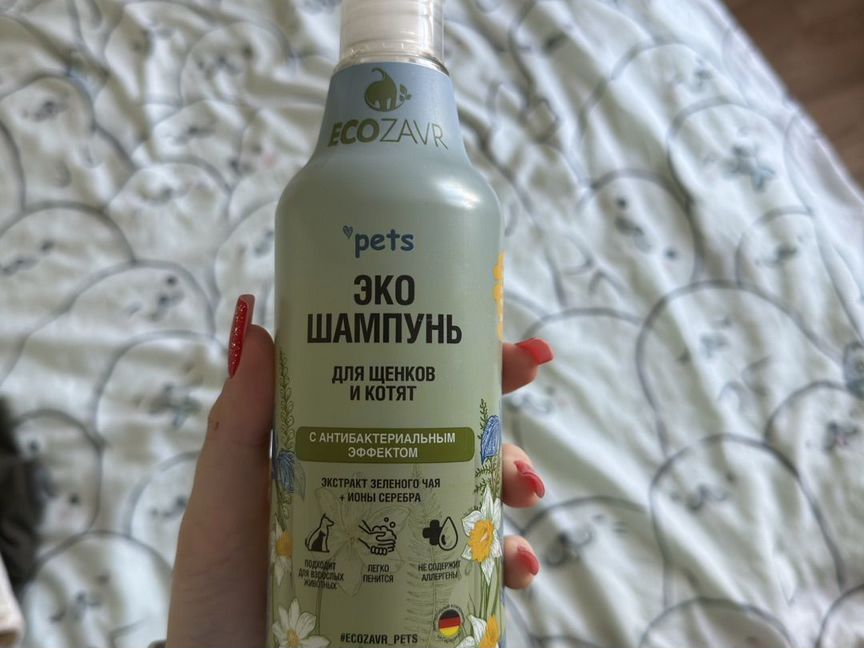 Уход для котят