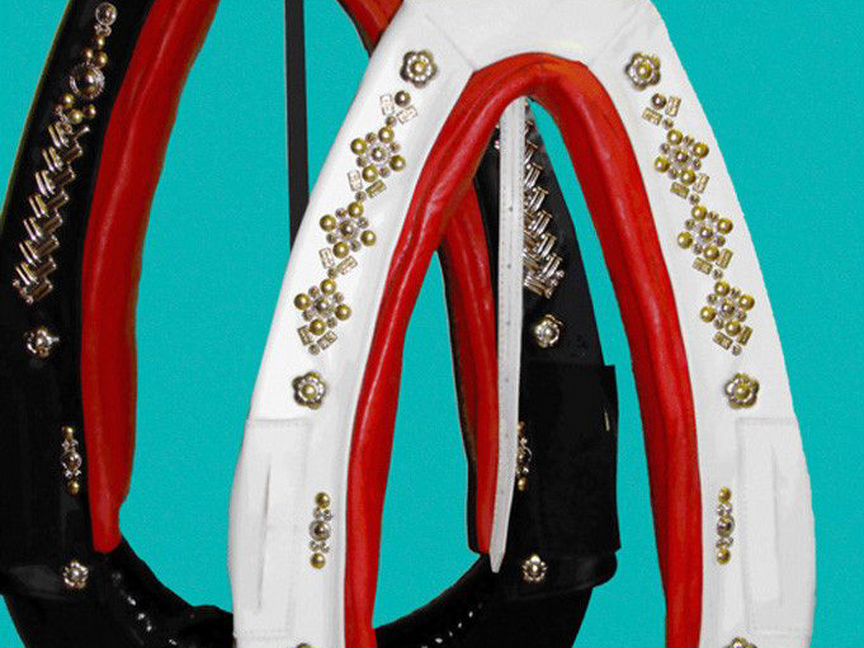 Упряжь для лошадей