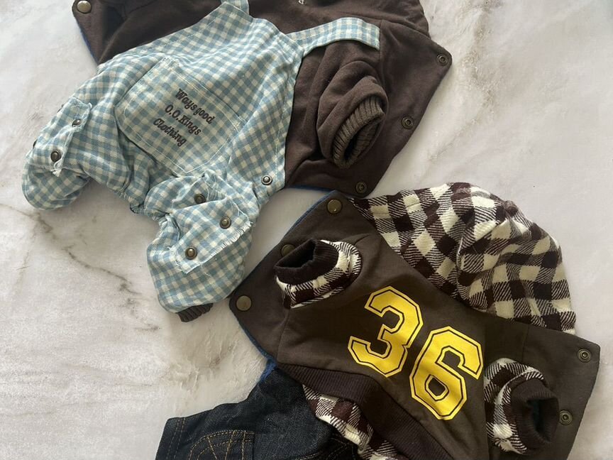 Одежда для собак