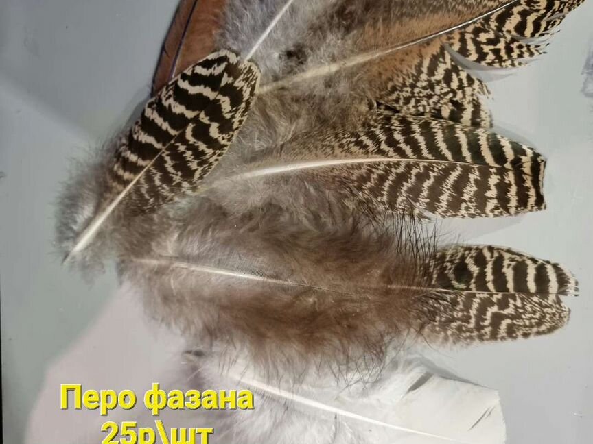 Перо фазана