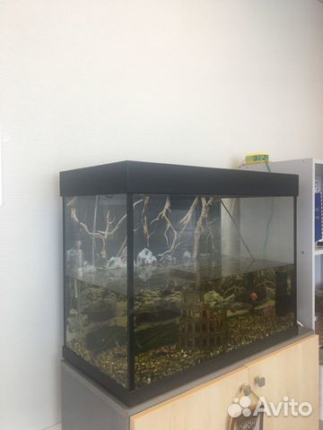 Продаю аквариум