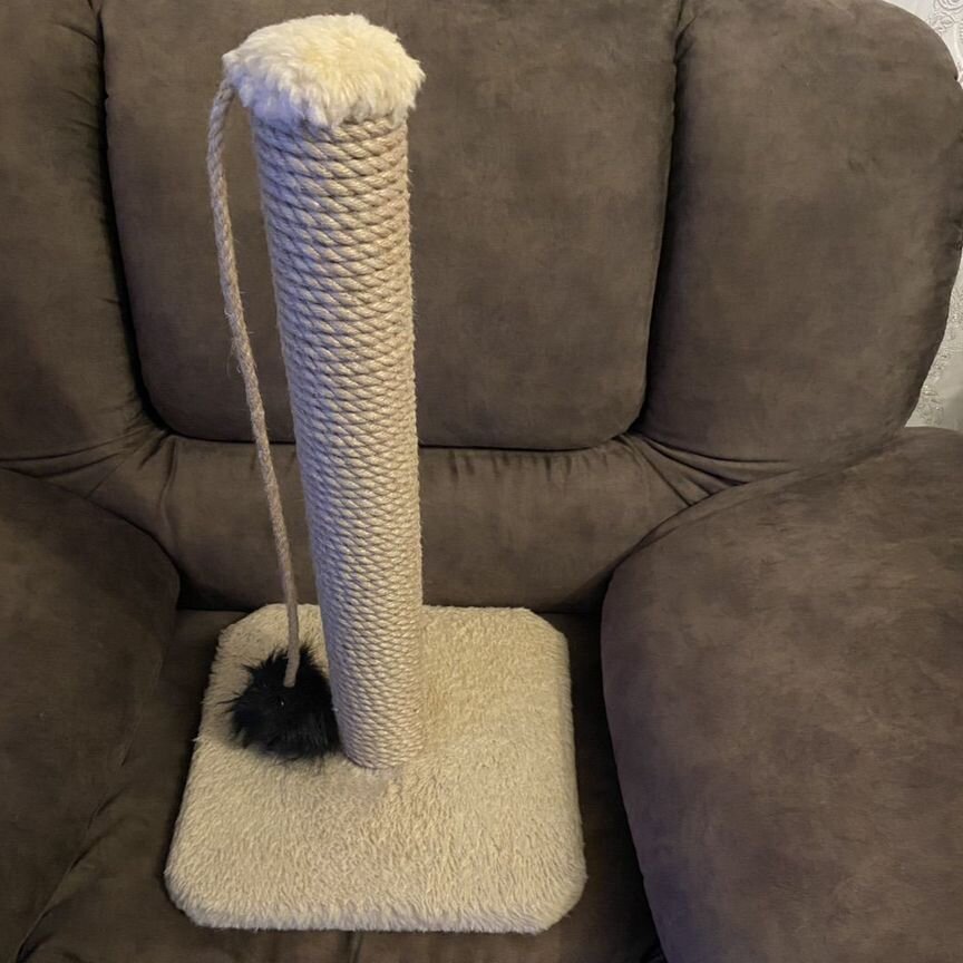 Когтеточка