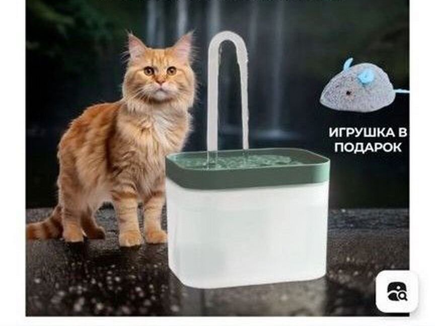 Автоматическая фонтан - поиска для животных