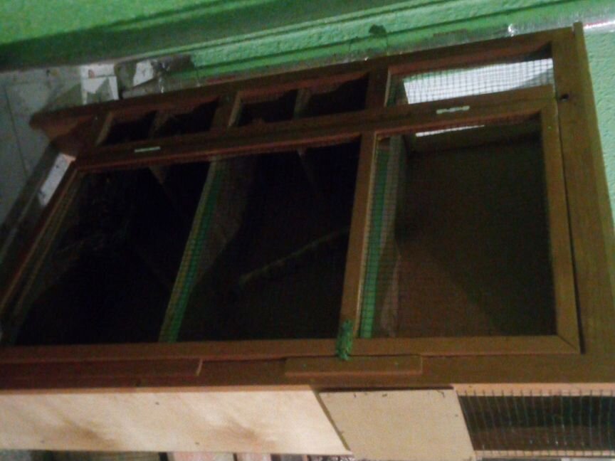 Шкаф витрина для шиншилл,дегу.бу