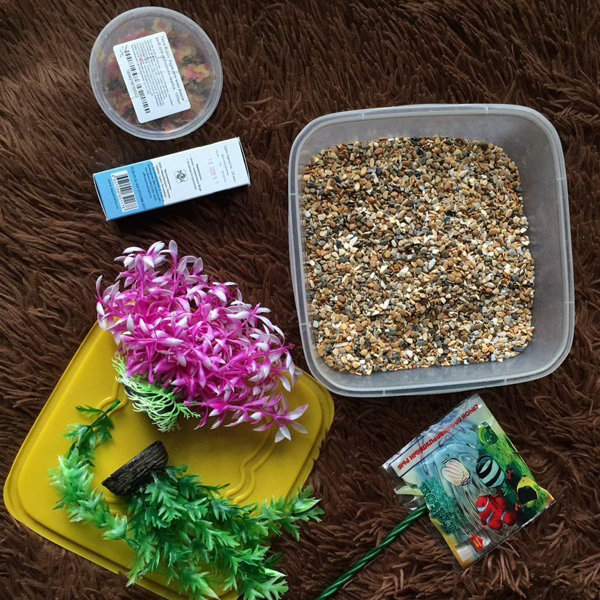 Для аквариума