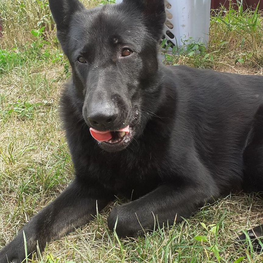 Прилашаем на вязку