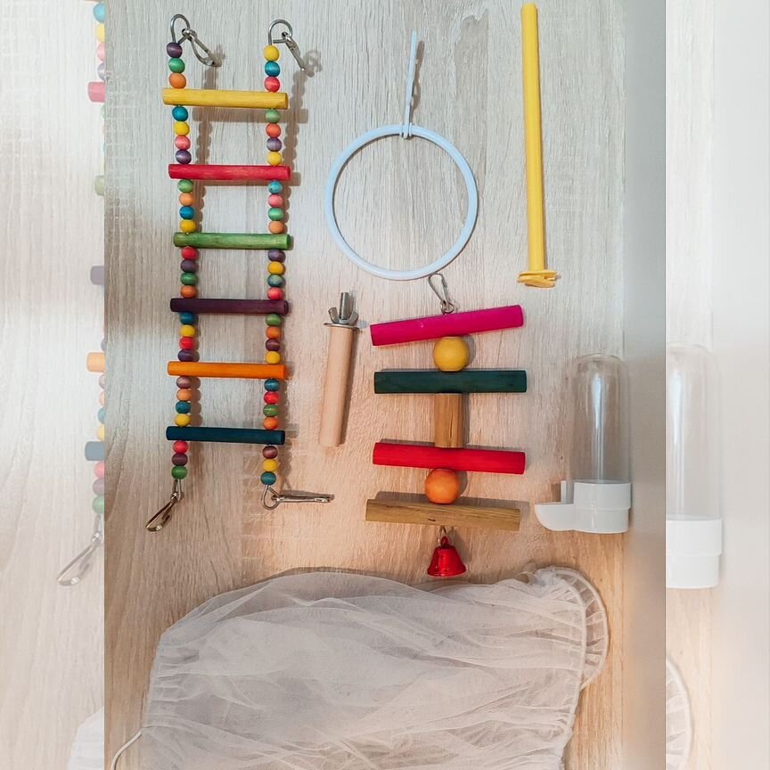 Набор в клетку для попугая