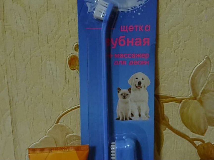Зубная щётка и паста для собак и кошек