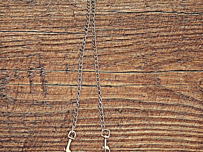 Сворка для двух собак крупных