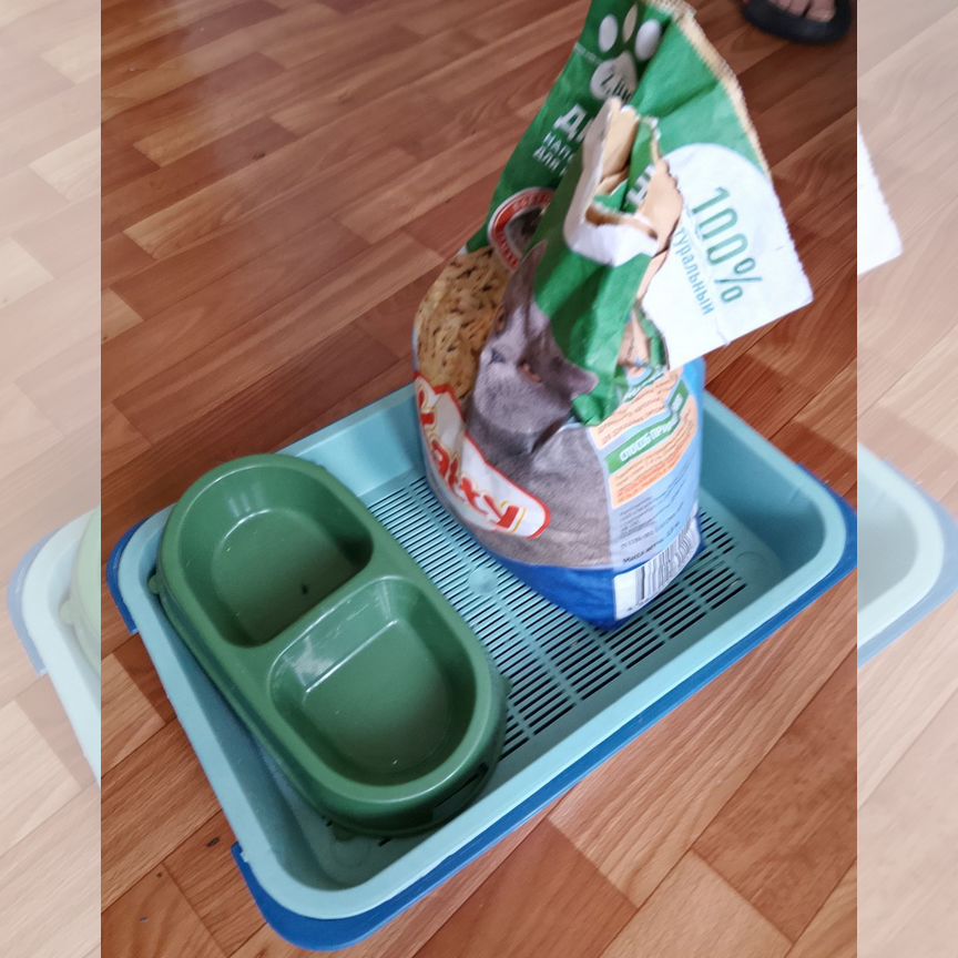 Лоток для кошек