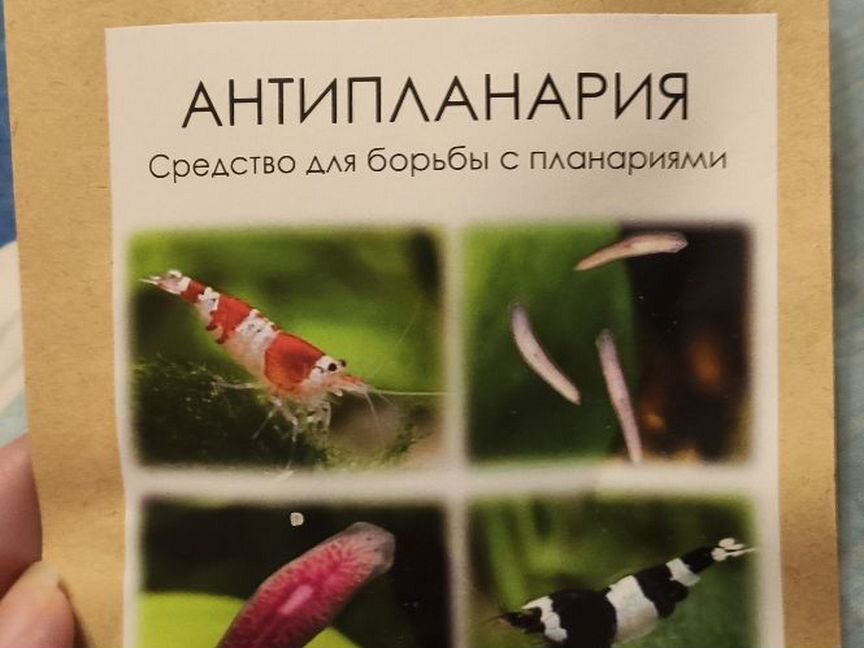 Антипланария
