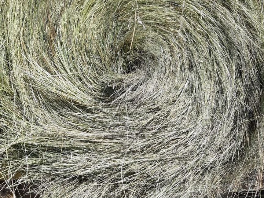 Отборное в рулонах сено урожай 2022года