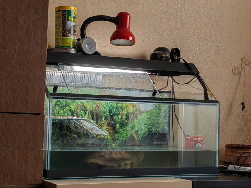 Террариум для черепахи