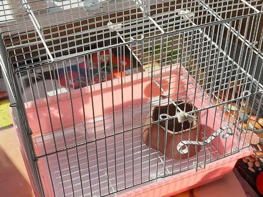 Клетки для хомяков или крысок