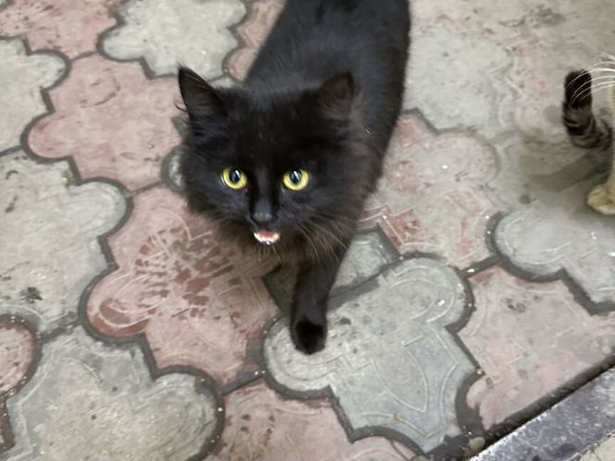 Малыша выкинули