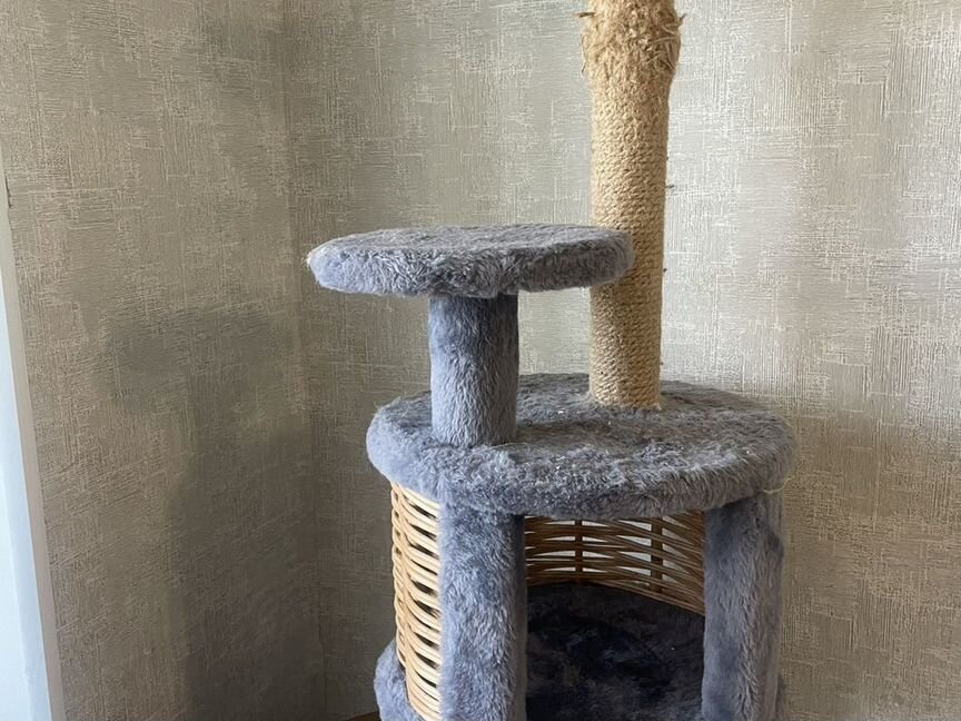 Когтеточка и домик для кошки