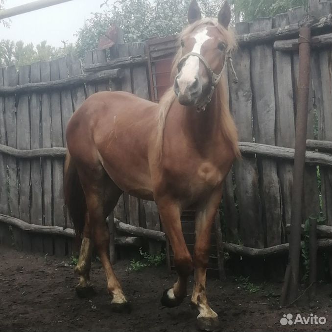 Советский тяжеловоз