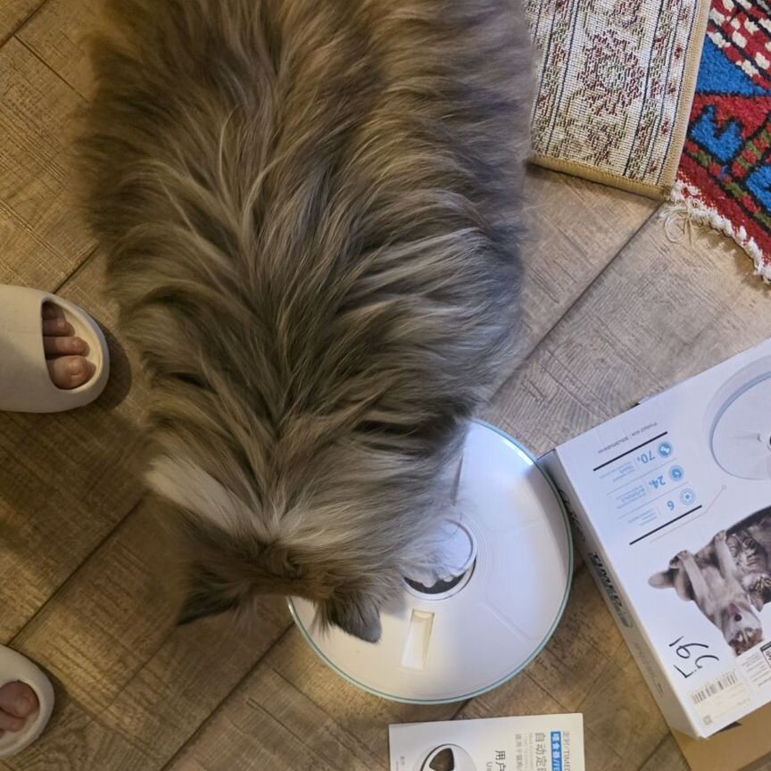 Кормушка для собак