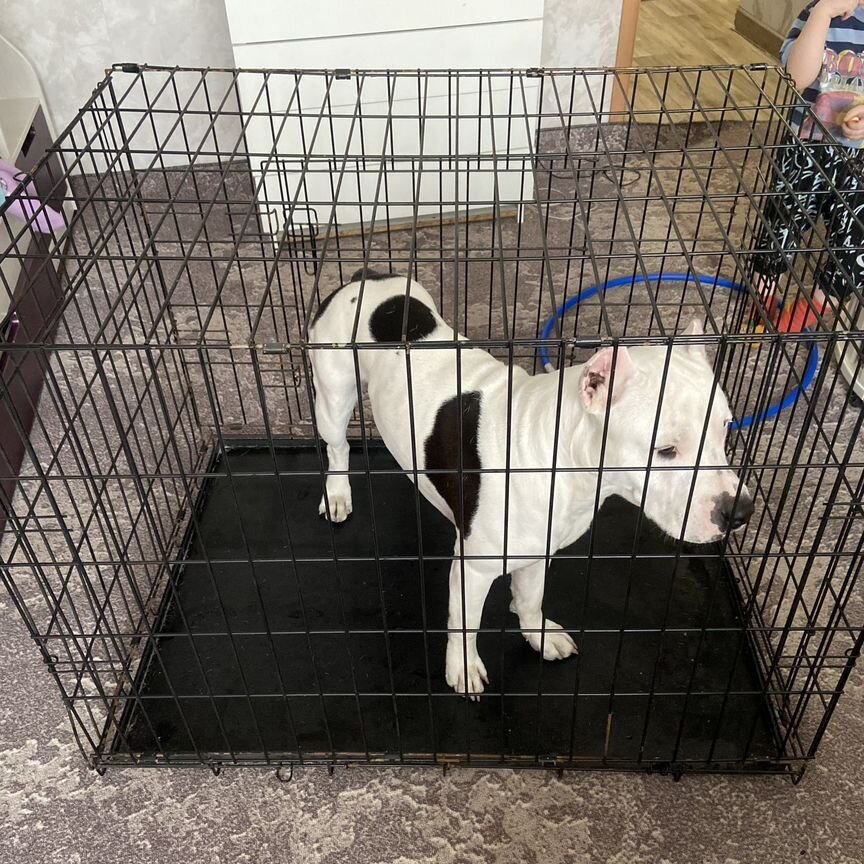 Клетка для собак 5 размер