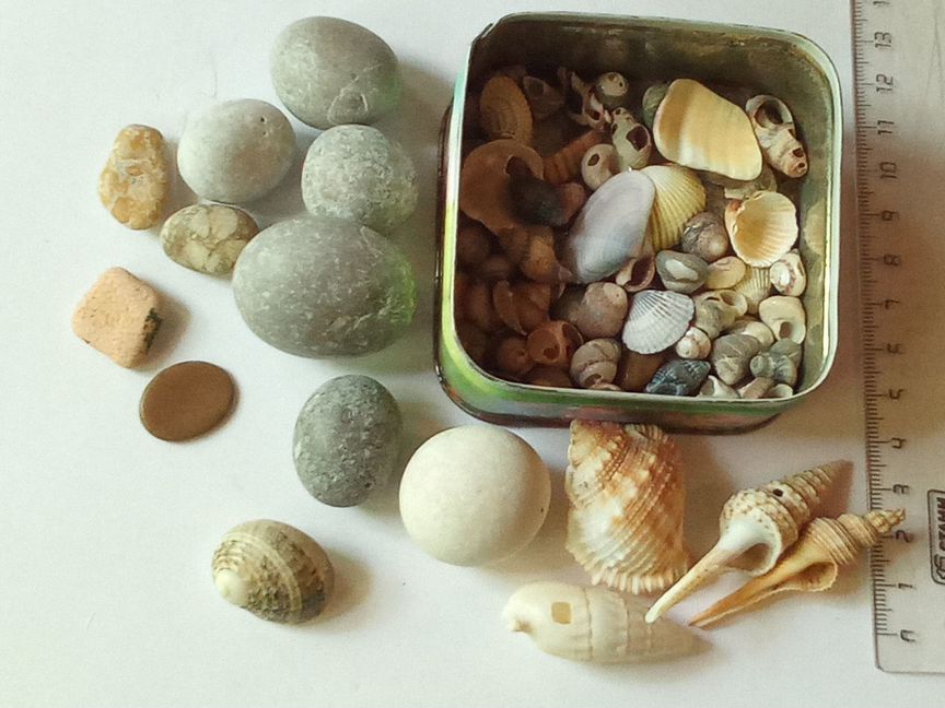 Камешки и ракушки с моря