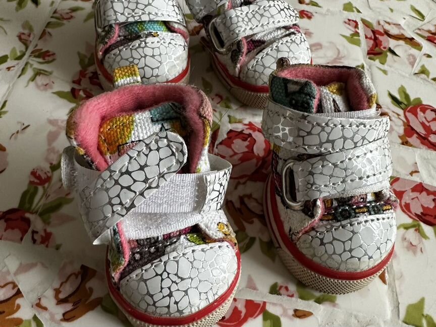 Вещи для маленьких собак xs