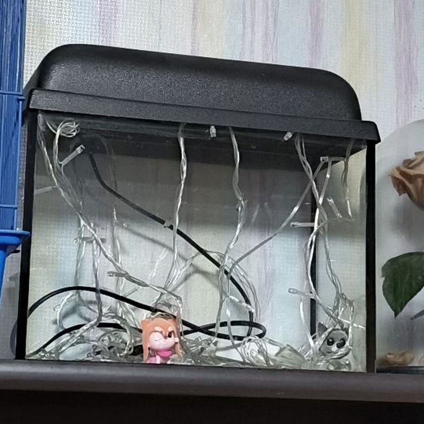 Авариум
