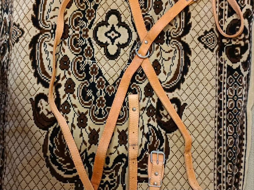 Шлейка и поводок для маленьких собак