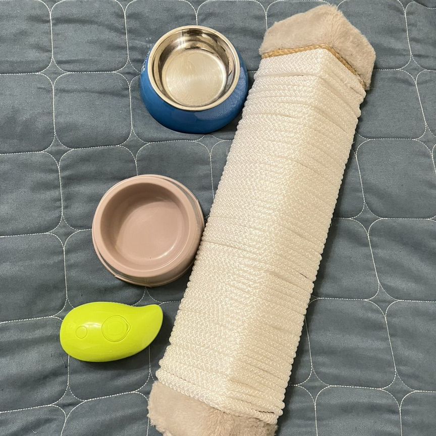 Когтеточка для кошек, миски, паровая расчестка